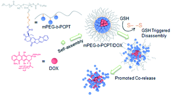 Therapeutic polymeric nanomedicine: GSH-responsive release promotes ...