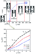 Effects of surfactant adsorption on the formation of compound droplets ...
