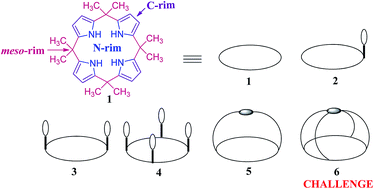 New dimensions in calix[4]pyrrole: the land of opportunity in ...
