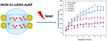 AuNP and ssDNA capped mesoporous silica nanoparticles for laser ...