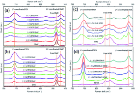 Anion effects on the solvation structure and properties of imide ...