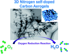 3D interconnected nitrogen-self-doped carbon aerogels as efficient oxygen reduction ...