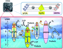 Ternary dual Z-scheme graphitic carbon nitride/ultrathin metal–organic ...