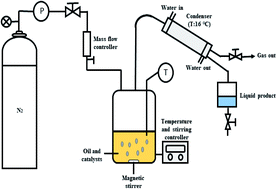 Production of green diesel from catalytic deoxygenation of chicken fat ...