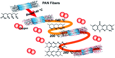 Effects of oxygen on the structural evolution of polyacrylonitrile fibers during rapid thermal ...