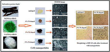 Nickel Oxide Nanoparticles