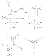 Synthesis and properties of porous polymers synthesized by Michael ...