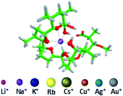 Factors governing the competition between group IA and IB cations for ...