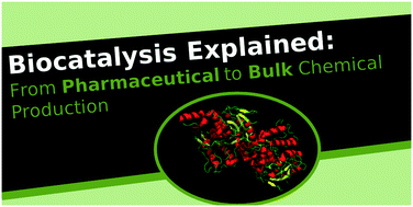 Biocatalysis explained: from pharmaceutical to bulk chemical production ...