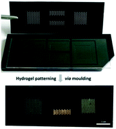 One-step photostructuring of multiple hydrogel arrays for ...