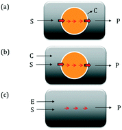 Advances in biological conversion technologies: new opportunities for ...