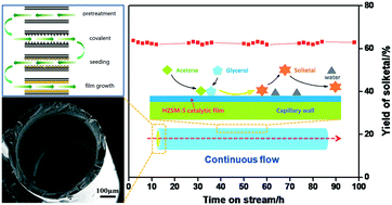 Microfluidic processing of HZSM-5 films in a capillary microreactor for ...