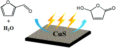 An electrocatalytic route for transformation of biomass-derived ...
