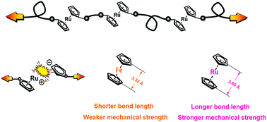 Generalizing metallocene mechanochemistry to ruthenocene mechanophores ...