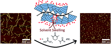 Main-chain scission of individual macromolecules induced by solvent ...