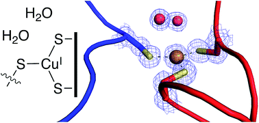 Structure of formylglycine-generating enzyme in complex with copper and ...