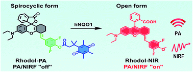 Engineering an NIR rhodol derivative with spirocyclic ring-opening ...