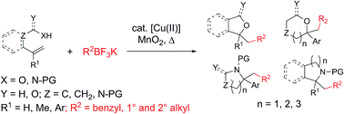 Saturated oxygen and nitrogen heterocycles via oxidative coupling of ...