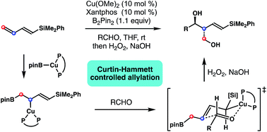 α-Silicon effect assisted Curtin–Hammett allylation using allylcopper ...