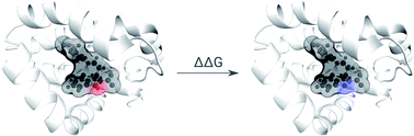 Large scale relative protein ligand binding affinities using non ...