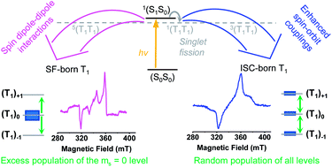 Influence of the heavy-atom effect on singlet fission: a study of ...
