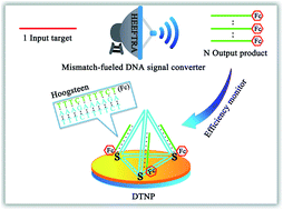 Programmable mismatch-fueled high-efficiency DNA signal converter ...
