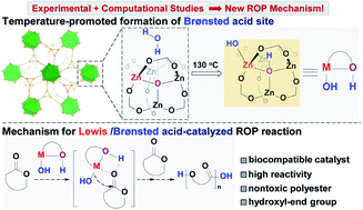 Polyester Mechanism