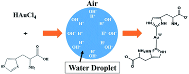 Reaction of chloroauric acid with histidine in microdroplets yields a ...