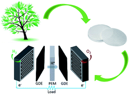 Operation of proton exchange membrane (PEM) fuel cells using natural ...