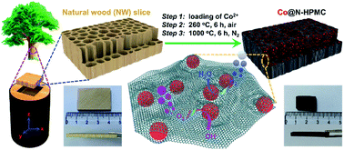 A wood-derived hierarchically porous monolithic carbon matrix embedded ...