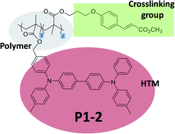 A photo-crosslinkable bis-triarylamine side-chain polymer as a hole ...