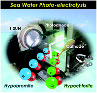 Solar-light-driven non-bias photoelectrolysis for bleach production ...