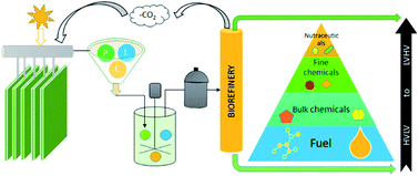 Exploration of a novel biorefinery based on sequential hydropyrolysis ...