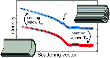 Oriented crystallization of PEG induced by confinement in cylindrical ...