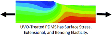 A surface with stress, extensional elasticity, and bending stiffness - Soft Matter (RSC Publishing)