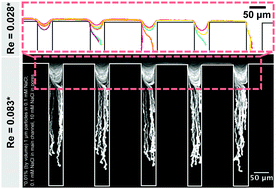Particle entrainment in dead-end pores by diffusiophoresis - Soft ...