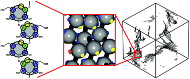 Coarse-grained molecular dynamics simulations of α-1,3-glucan - Soft Matter (RSC Publishing)