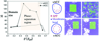 Assembly structures and dynamics of active colloidal cells - Soft ...