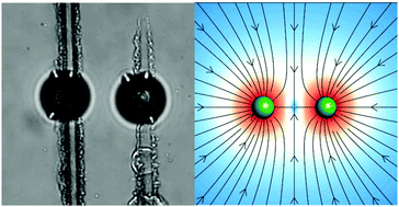Self-assembly and complex manipulation of colloidal mesoscopic ...