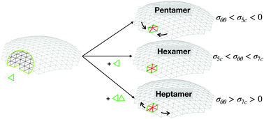 Mechanical stress relaxation in molecular self-assembly - Soft Matter ...