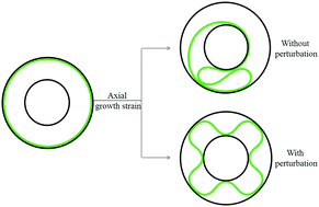 Buckling morphology of an elastic ring confined in an annular channel ...