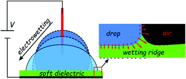 Soft electrowetting - Soft Matter (RSC Publishing)