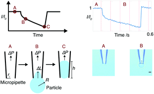 Use of microaspiration to study the mechanical properties of polymer ...