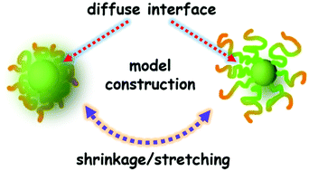 Gradient copolymer micelles: an introduction to structures as well as ...