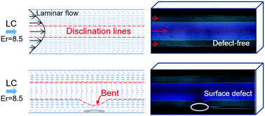 Flow-driven disclination lines of nematic liquid crystals inside a ...