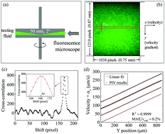Time-dependent shear rate inhomogeneities and shear bands in a ...