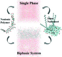 Interactions between amphiphilic Janus nanosheets and a nonionic ...