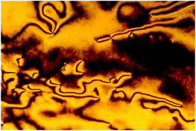 Calamitic and discotic liquid crystalline phases for mesogens with ...