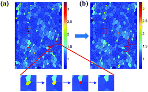 Stress-driven cell extrusion can maintain homeostatic cell density in ...