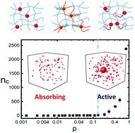 Absorbing–active transition in a multi-cellular system regulated by a ...